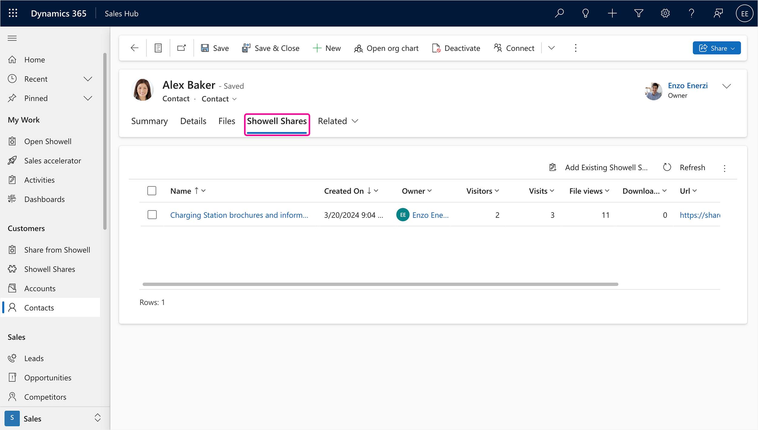 MS Dynamics 365 Integration: Usage Guide